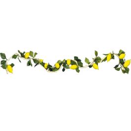 Eichlers.com: 10 ESROGIM PACK