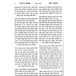 Eichlers.com: SHIUREI R. MESHULAM DAVID ERKIN