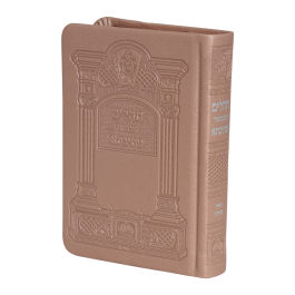 Eichlers.com: TEHILLIM METIVTA SMALL PU LIGHT PINK SOFT