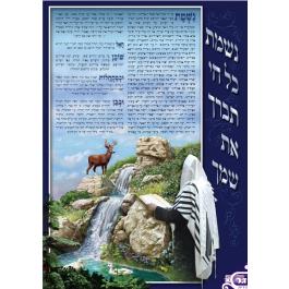 Eichlers.com: Nishmas Kol Chai Laminated Sukkah Poster